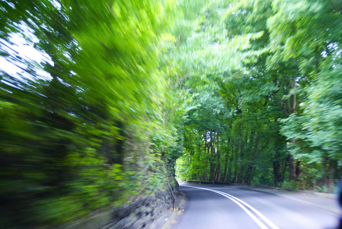Speed Means Agility and Equals Sustainability, CSR - IFS Blog